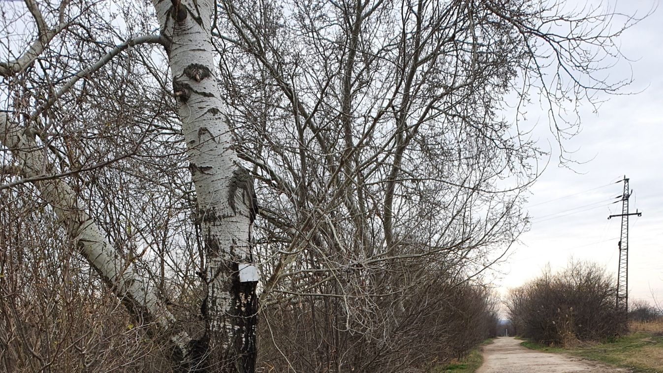 A horgászhelyeken is sok a szemét – Fotók