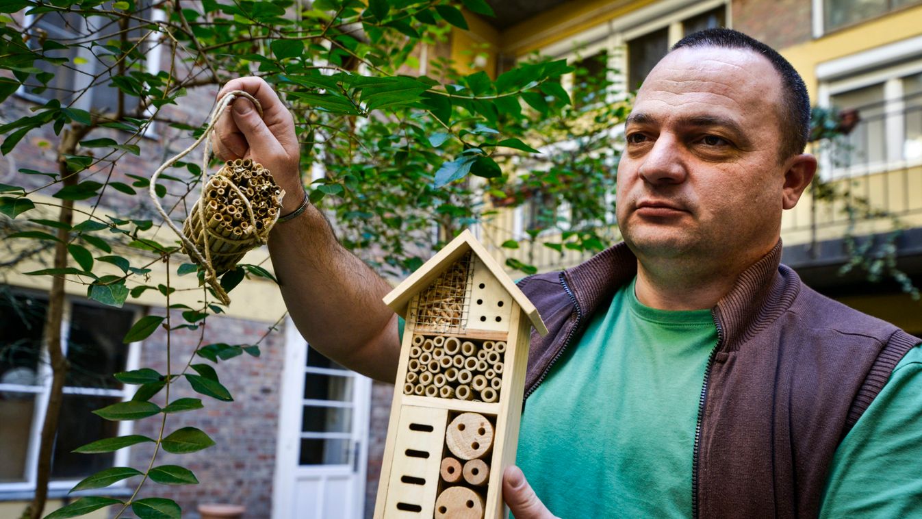 Eltűnőben azok a rovarok, amelyek beporozzák a virágokat