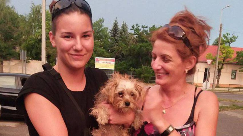 DELMAGYAR - Ellopta Picúrt, majd eladásra kínálta a neten - fotó