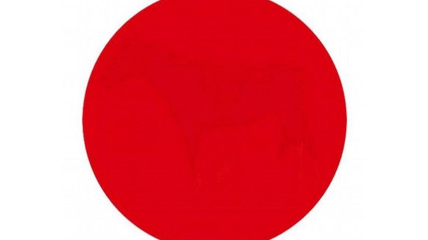 DELMAGYAR - Ön látja mi van a piros kör közepén?