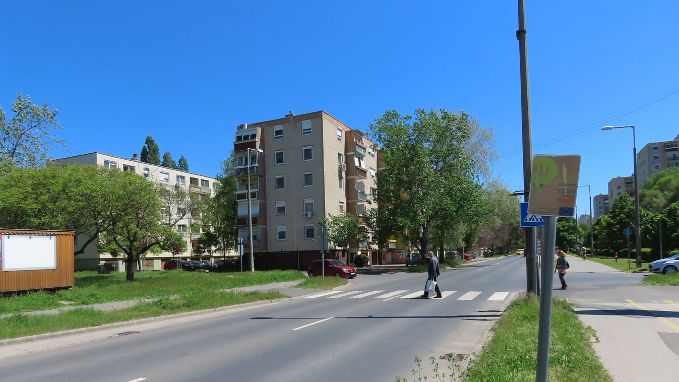 A Tóalj utcán is lesz okos zebra
