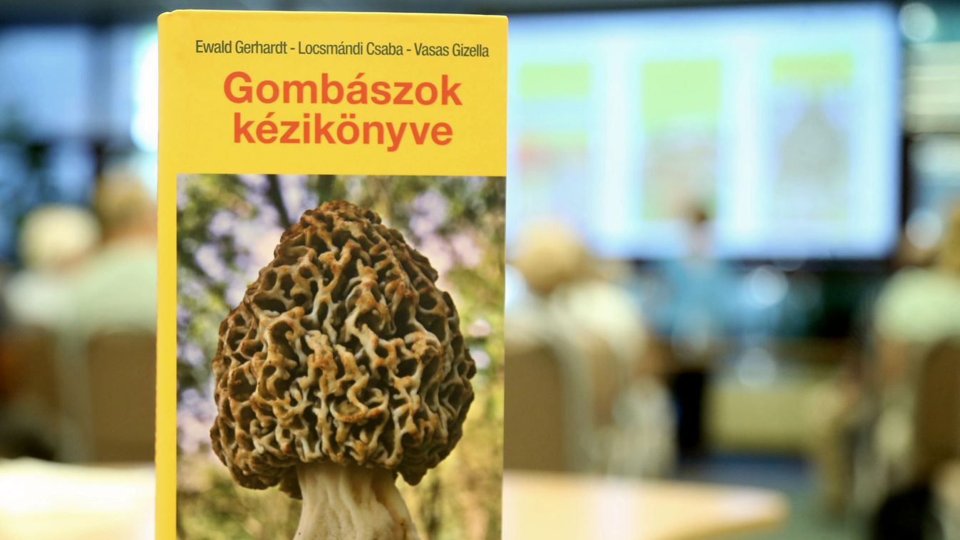Több mint száz gombafaj leírásával bővítették a gombászok „sárga könyvét”