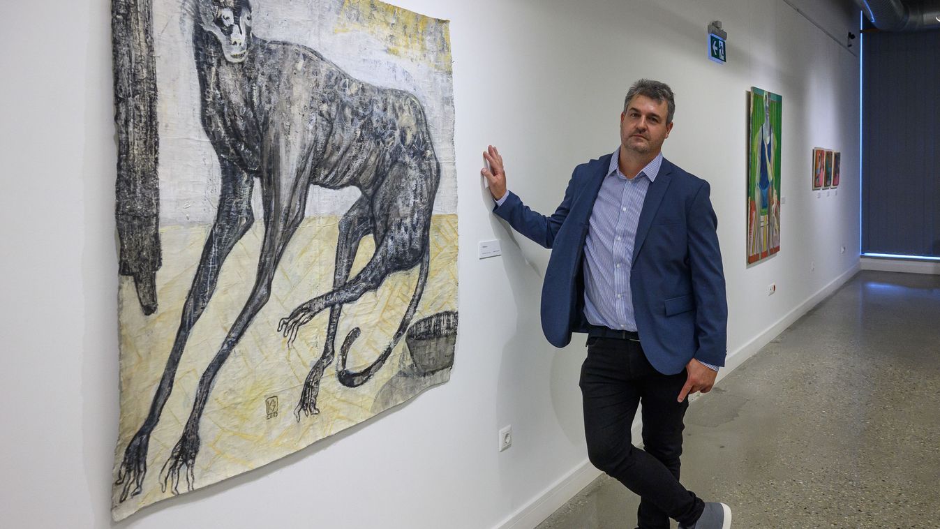 Király Gábor kiállítása fájdalmat és békét is kínálhat