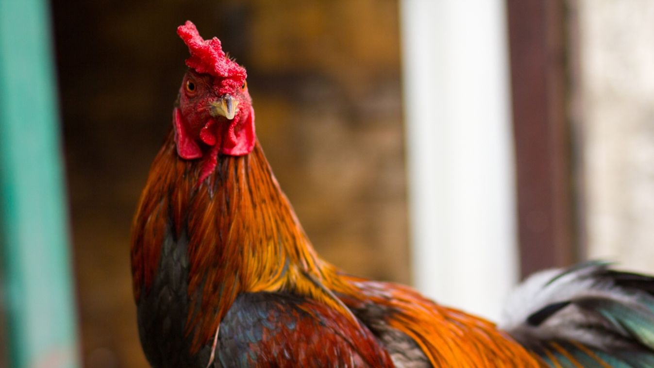 Minden vásárlót érint: ne induljon el feleslegesen!