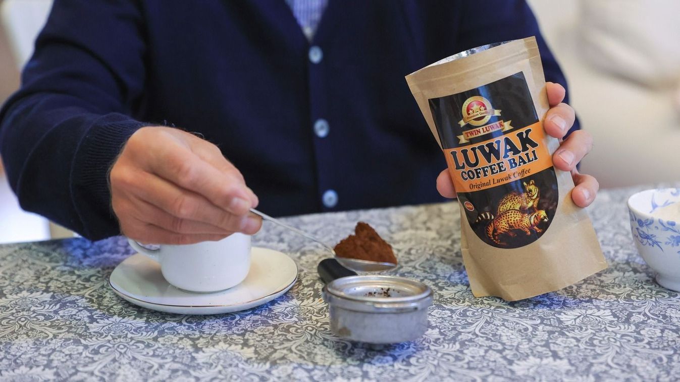 Kopi luwak, ilyen a világ legdrágább kávéja