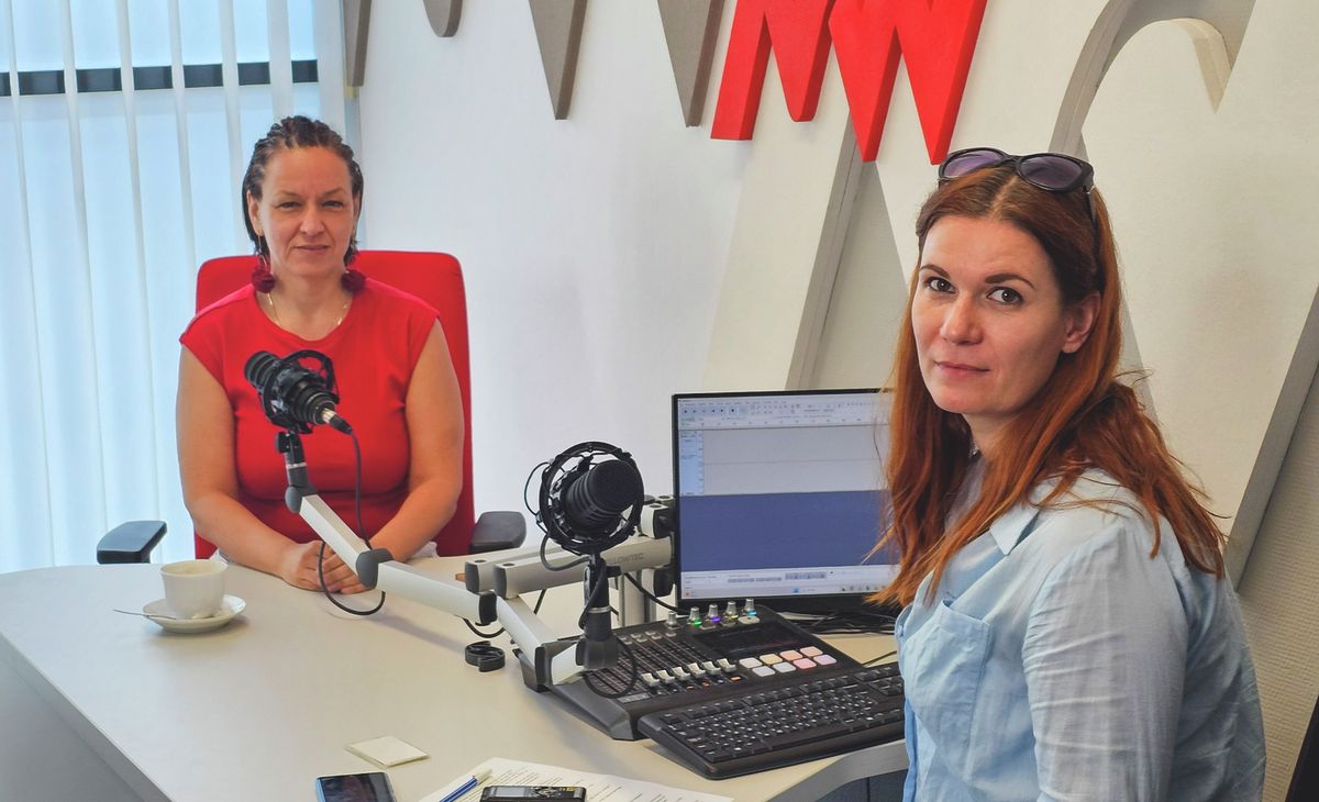 Kutyatartás a vádlottak padján: amikor a gazdi viszi el a balhét