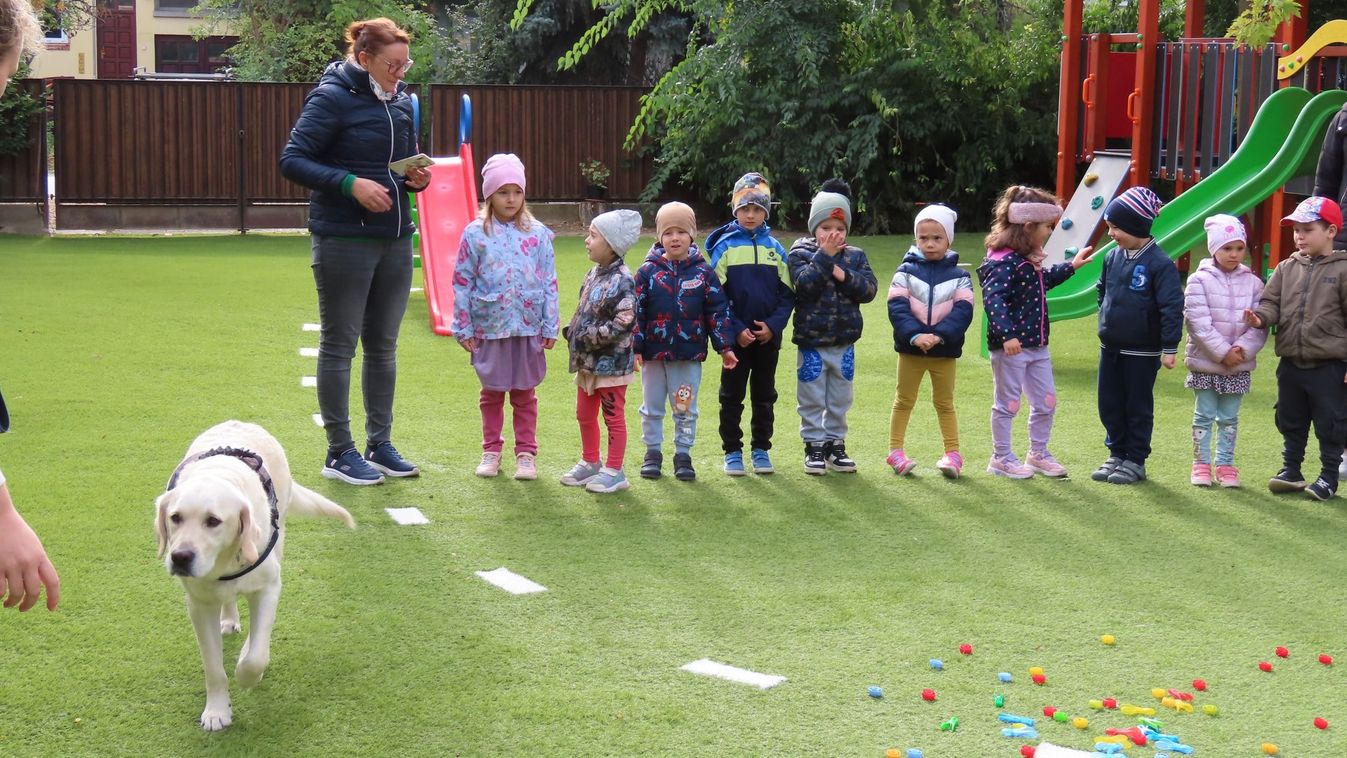 A felelős állattartást tanulták a vásárhelyi ovisok