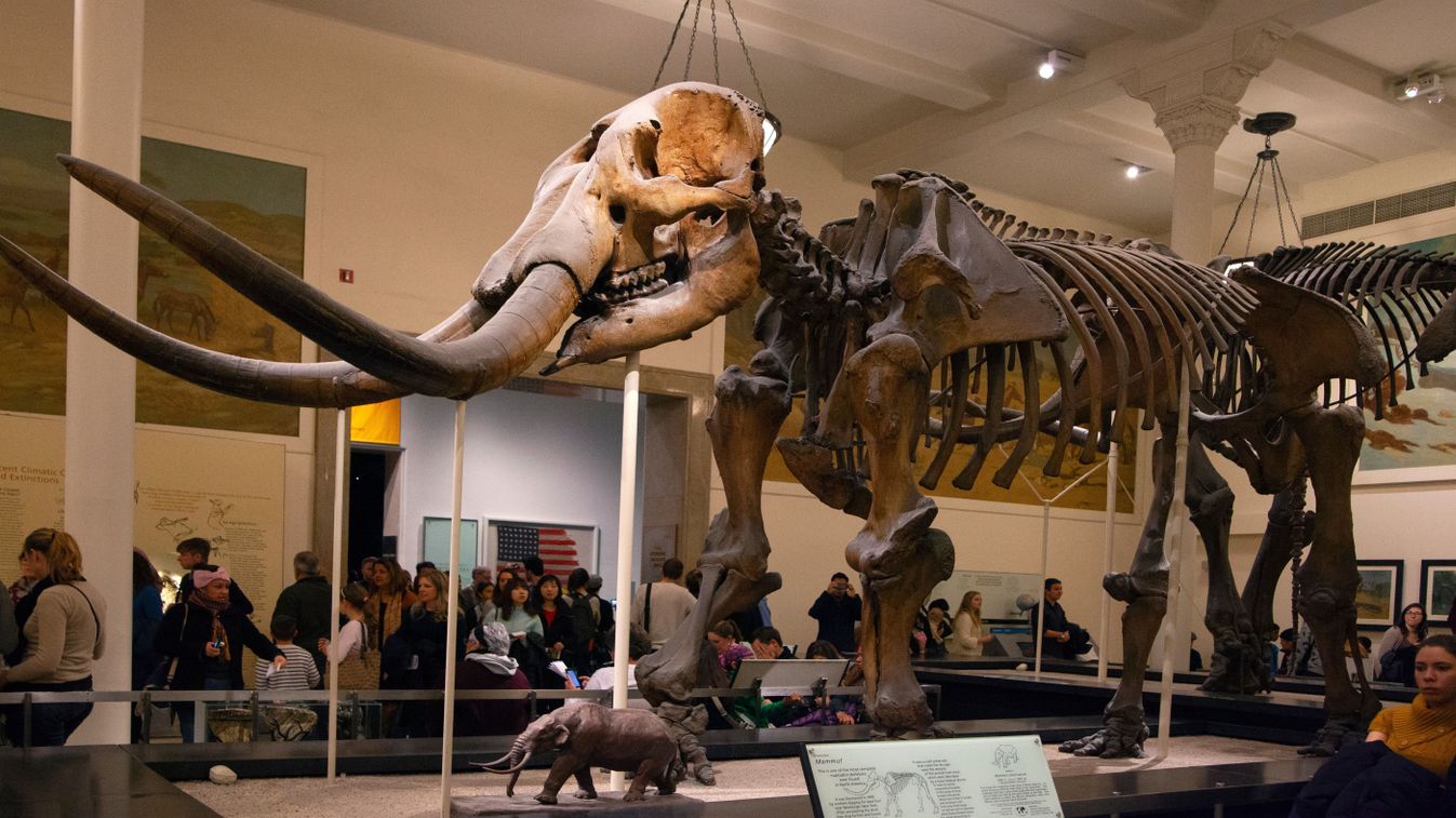 Programok Csongrád-Csanád vármegyében