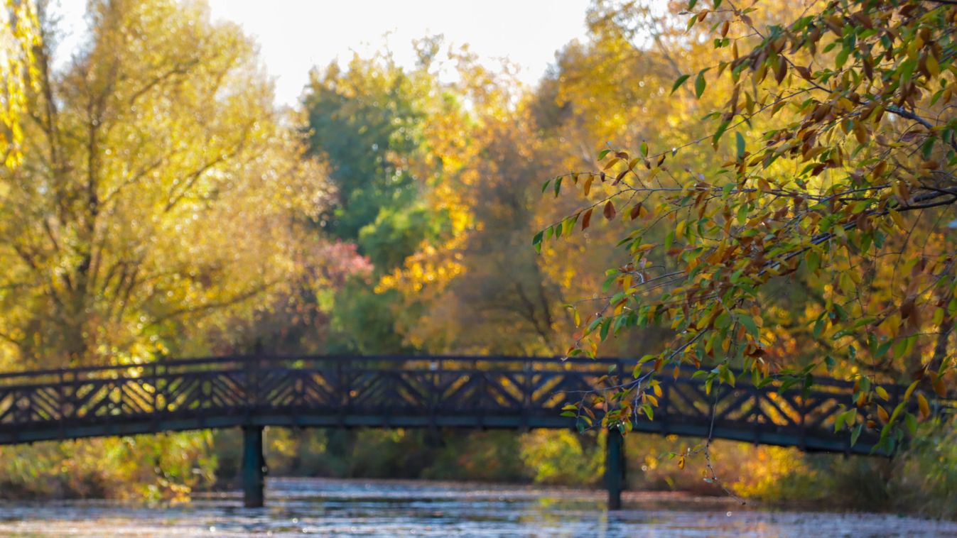 A Holt-Maros ősszel lenyűgözőbb, mint hinnéd