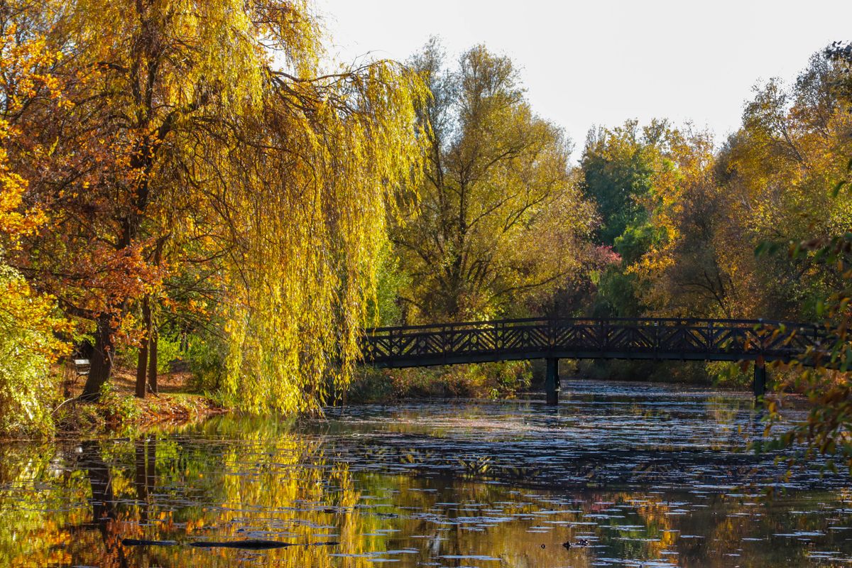 A Holt-Maros ősszel lenyűgözőbb, mint hinnéd