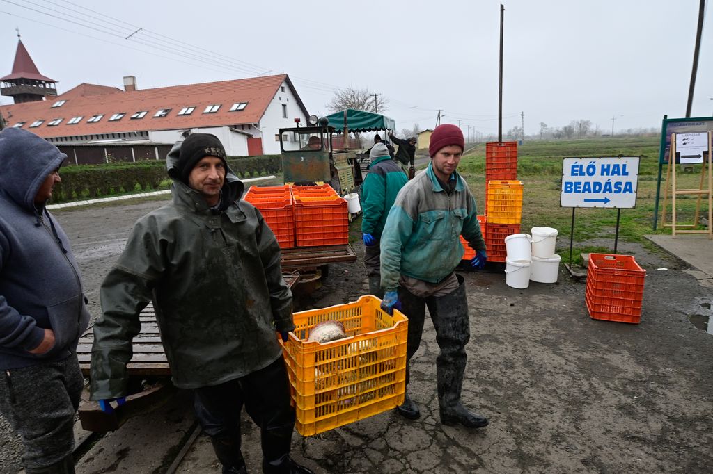 Hal, humor és egy kis izgalom: sorbanállás a halért Szegeden