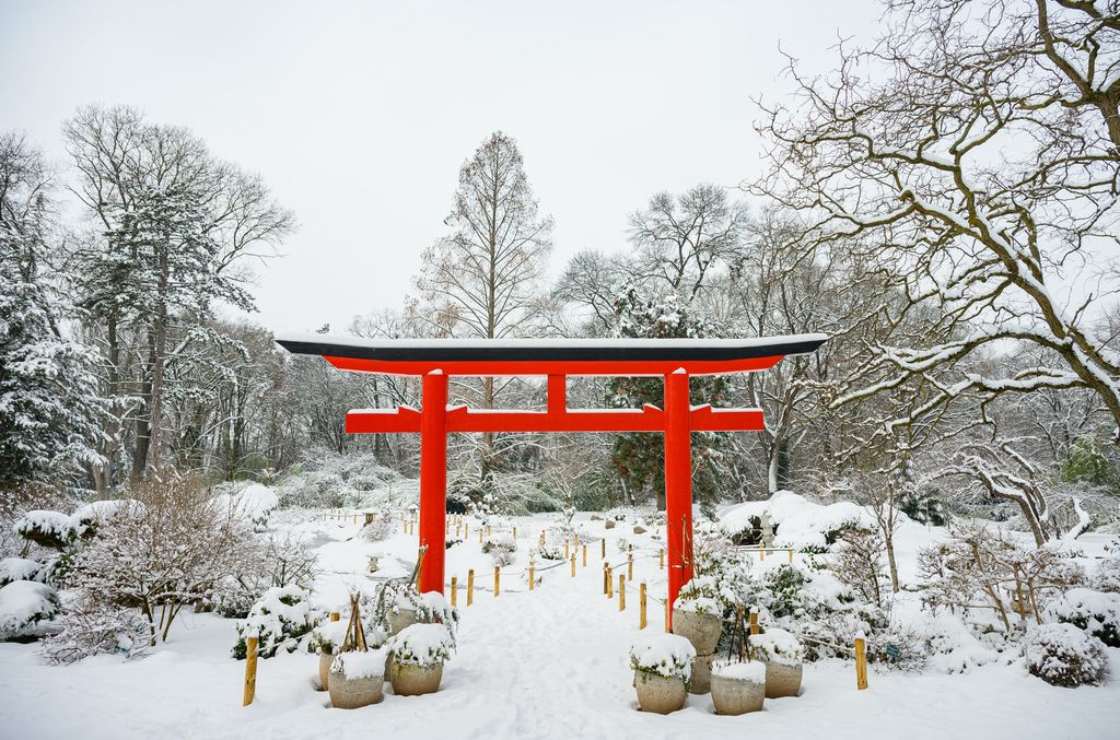 Vastag hótakaró lepte el az SZTE Füvészkertet | DELMAGYAR
