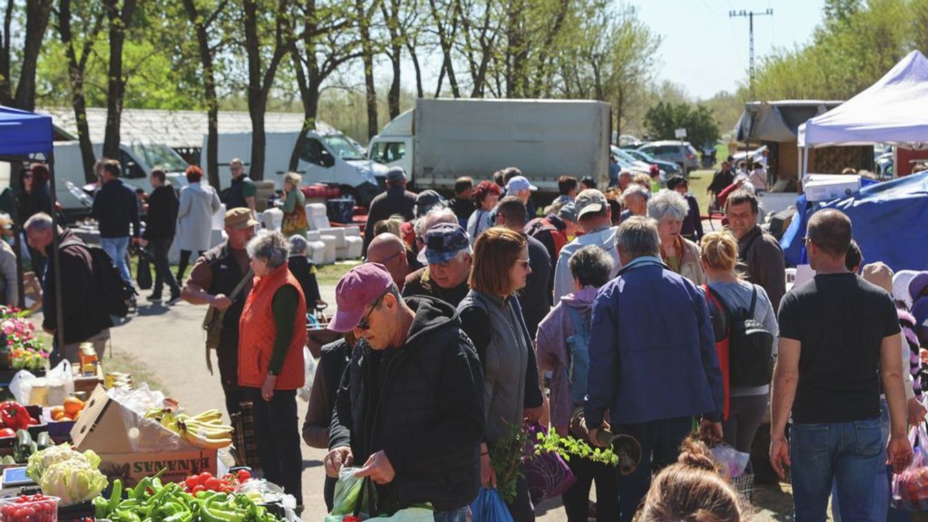 A ruzsai vásártól a szentesi költözésig: ilyen napja volt Csongrád ...
