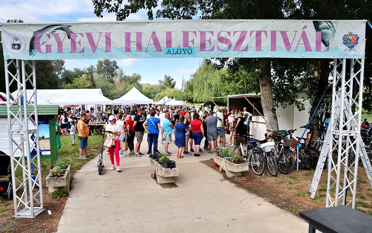 Halfesztivál a Tisza-parton: harcsakolbász és BBQ lazac is készült